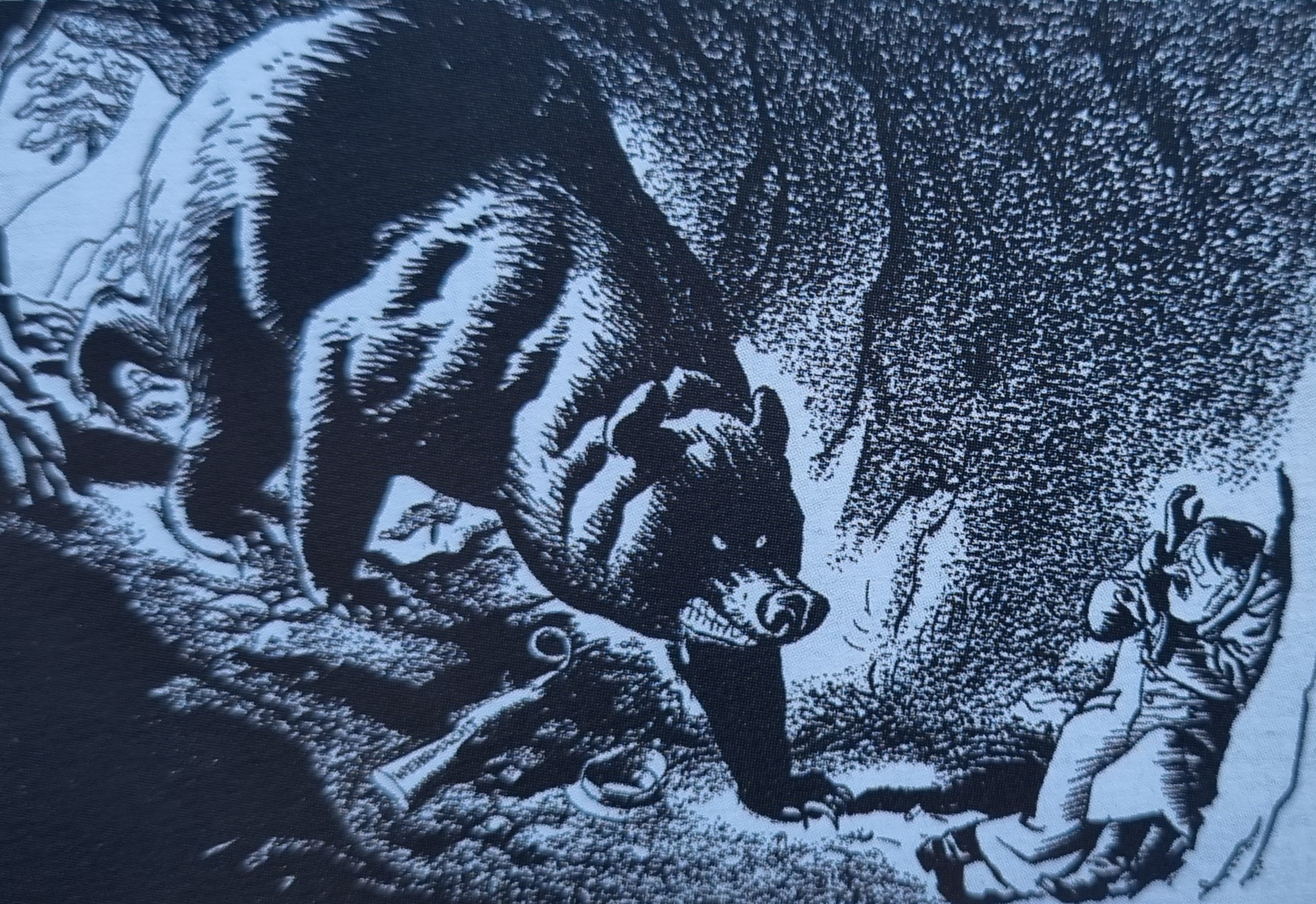 Sane or Insane-Tragedy of the rats – Philosophyofgoodnews